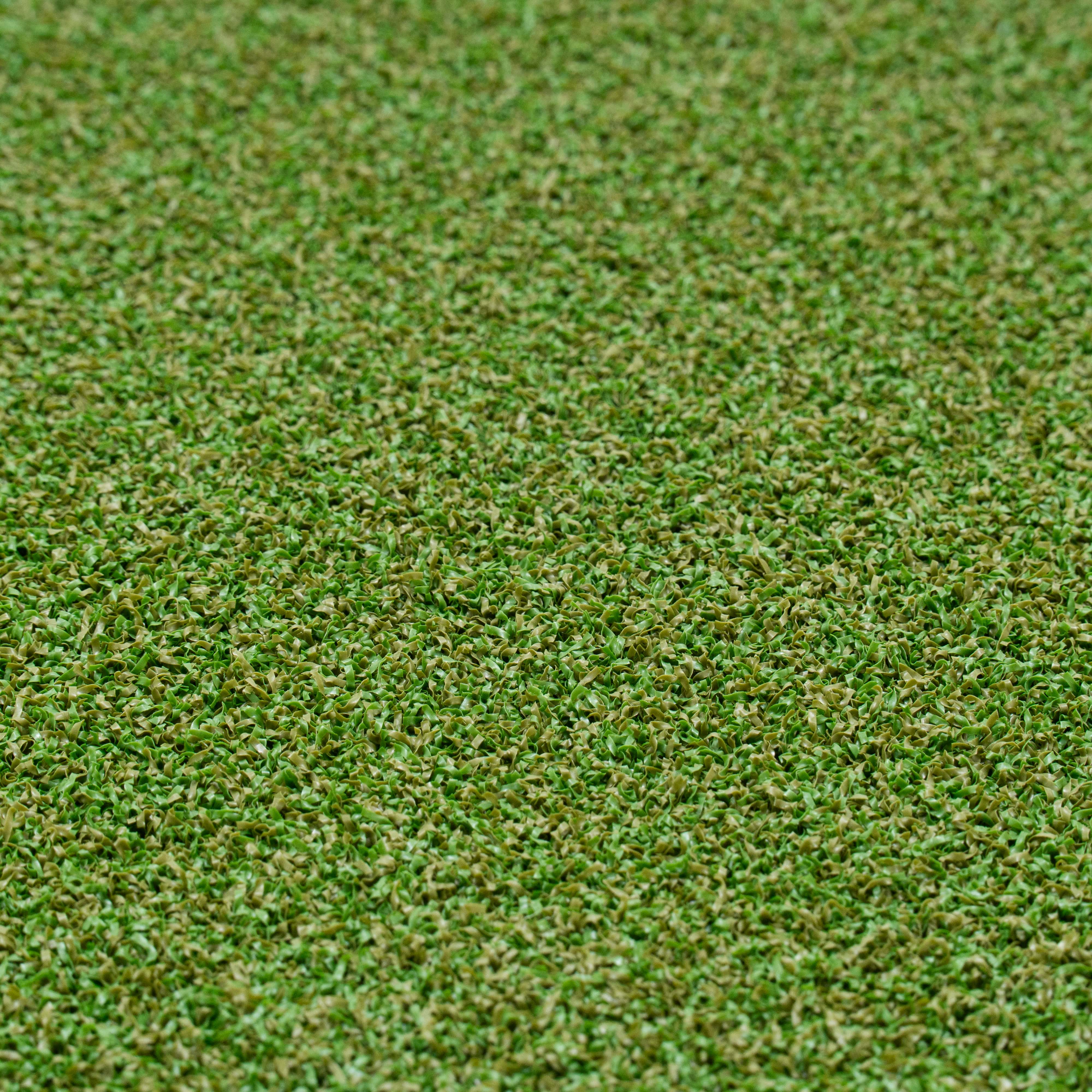 Champ 80 - Verdigrass