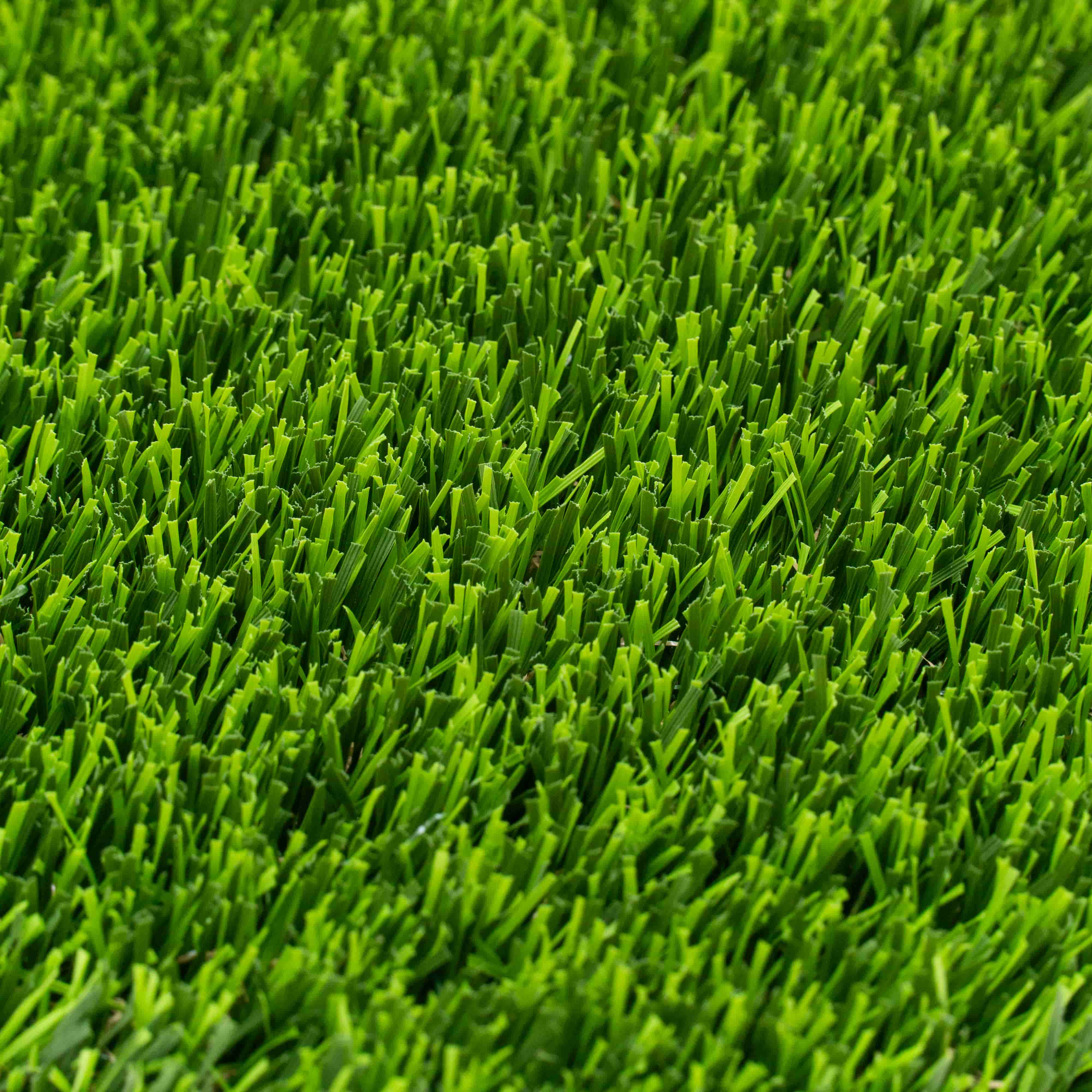 Oasis 100UF - Verdigrass